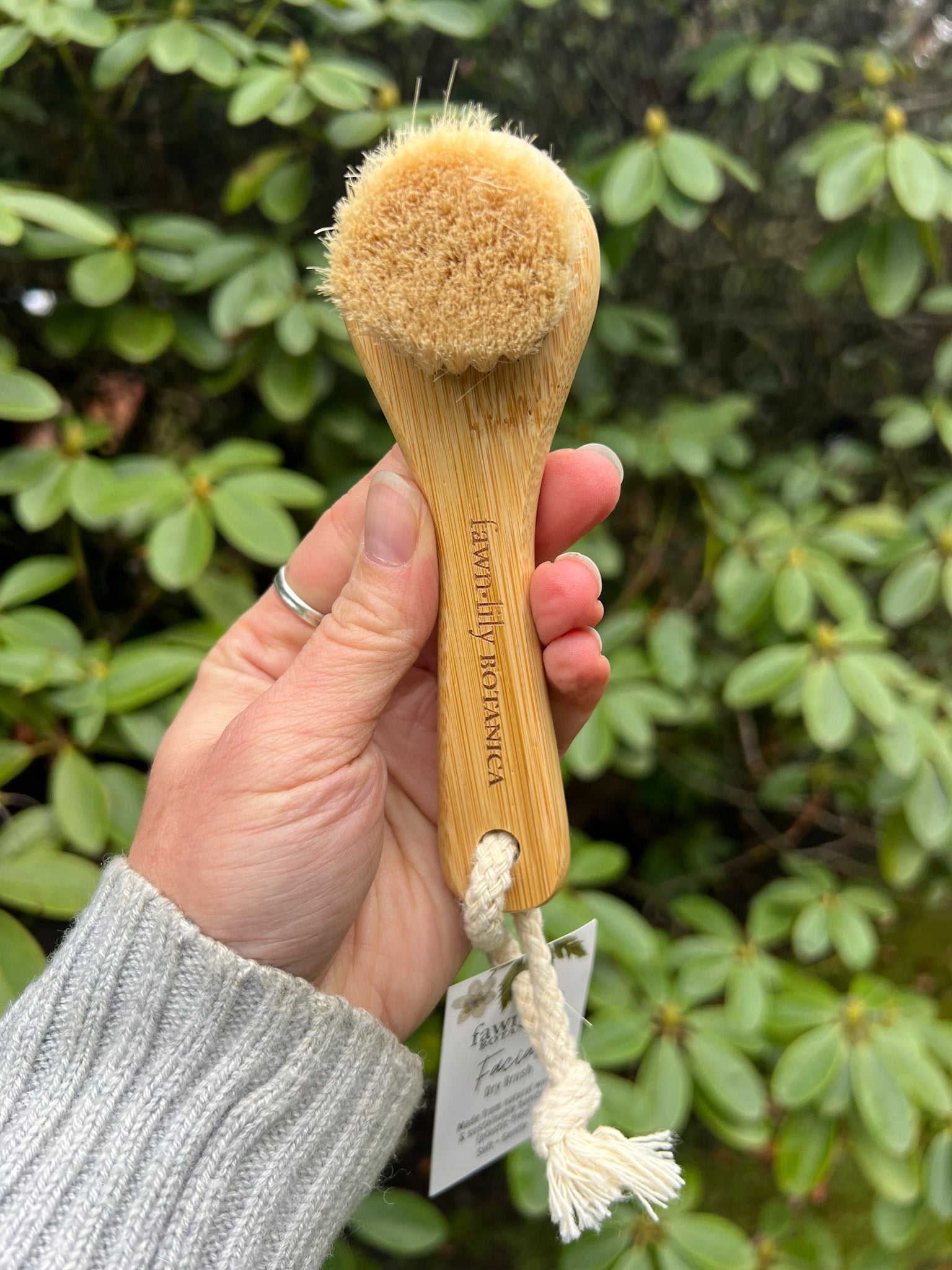 WOOL + BAMBOO FACIAL DRY BRUSH – Fawn Lily Botanica