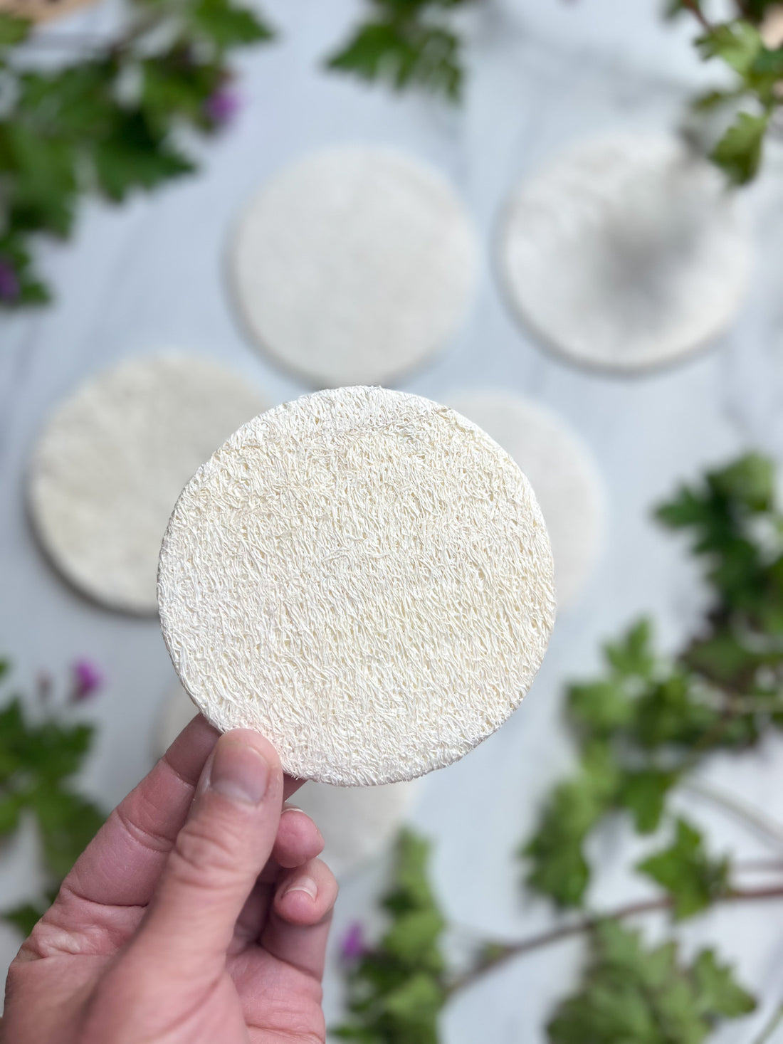 Luffa Facial Sponge 3.5" Round | USA Sustainably Grown | Fawn Lily Botanica