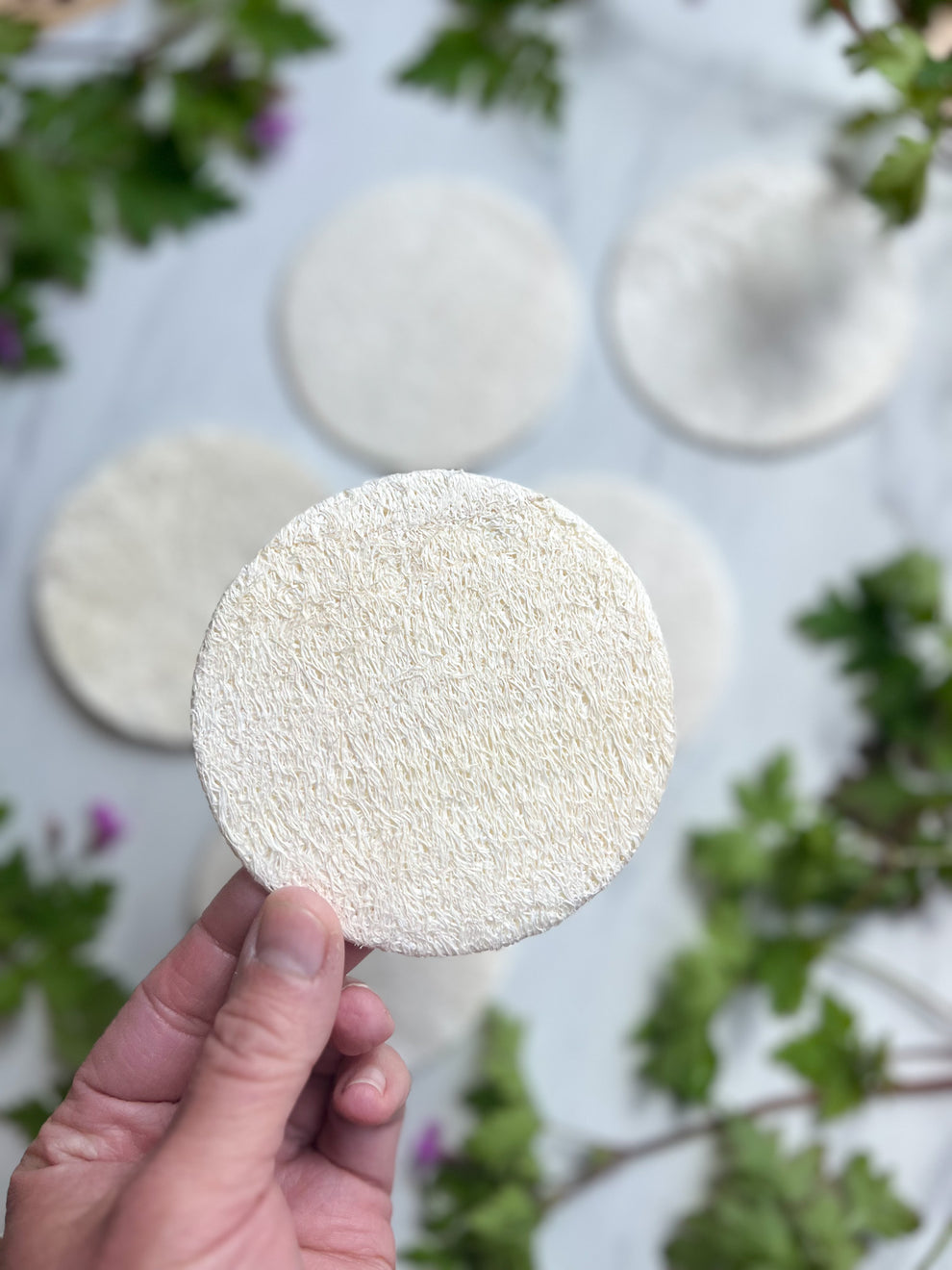 Luffa Facial Sponge 3.5" Round | USA Sustainably Grown | Fawn Lily Botanica