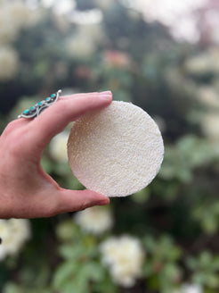 Luffa Facial Sponge 3.5" Round | USA Sustainably Grown | Fawn Lily Botanica