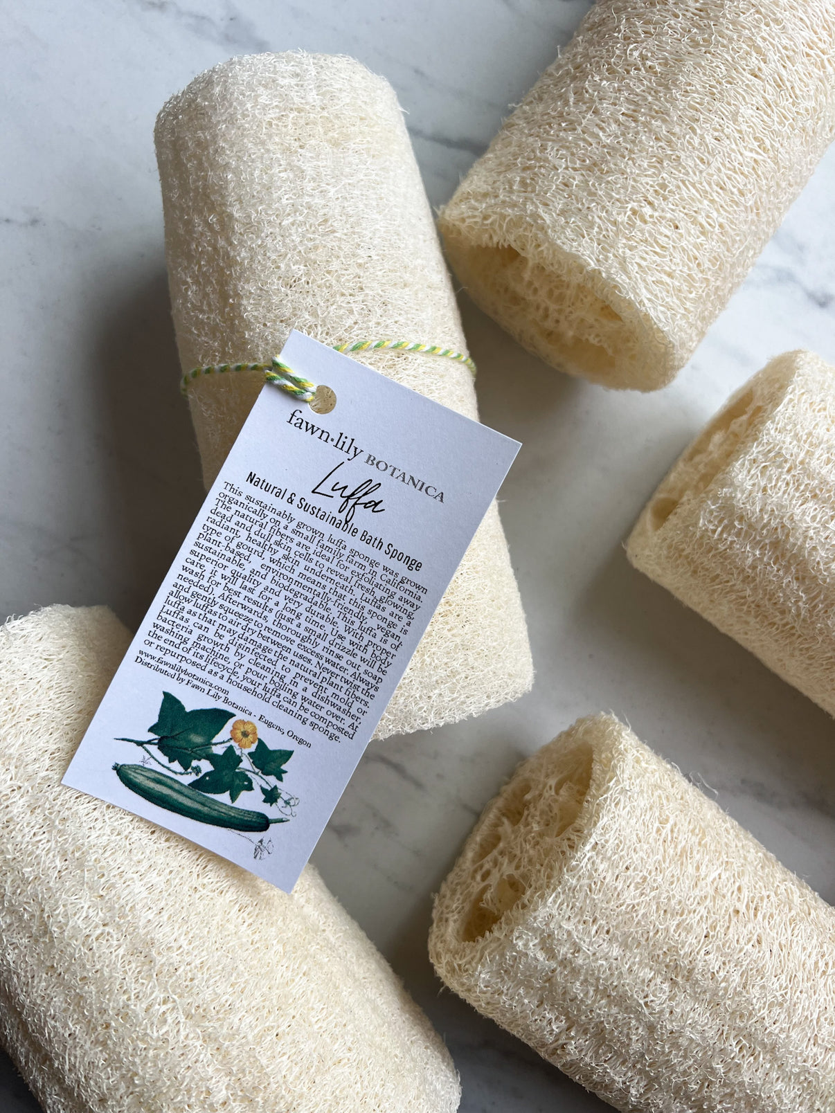 Luffa Bath Sponge USA Sustainably Grown | Fawn Lily Botanica