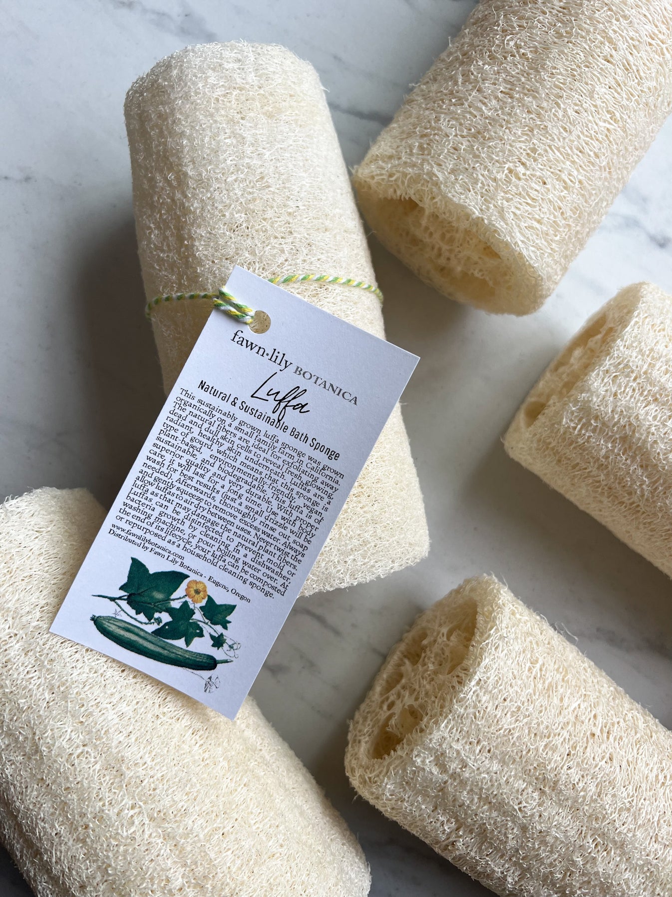 Luffa Bath Sponge USA Sustainably Grown | Fawn Lily Botanica