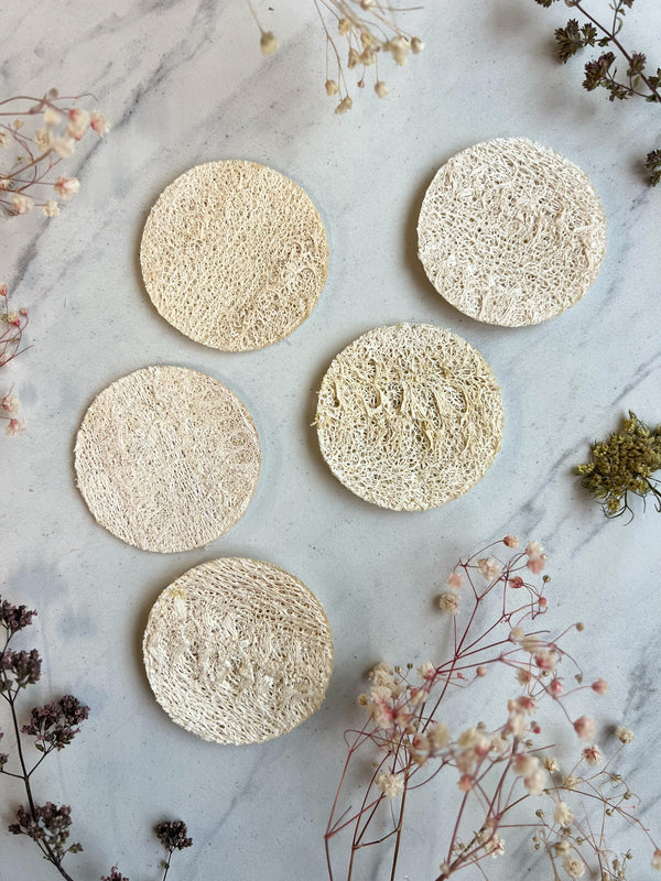 Luffa Facial Sponge 2.25" Round | Fawn Lily Botanica