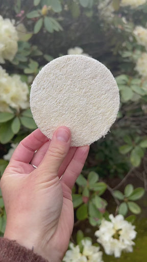 Luffa Facial Sponge 3.5" Round | USA Sustainably Grown | Fawn Lily Botanica